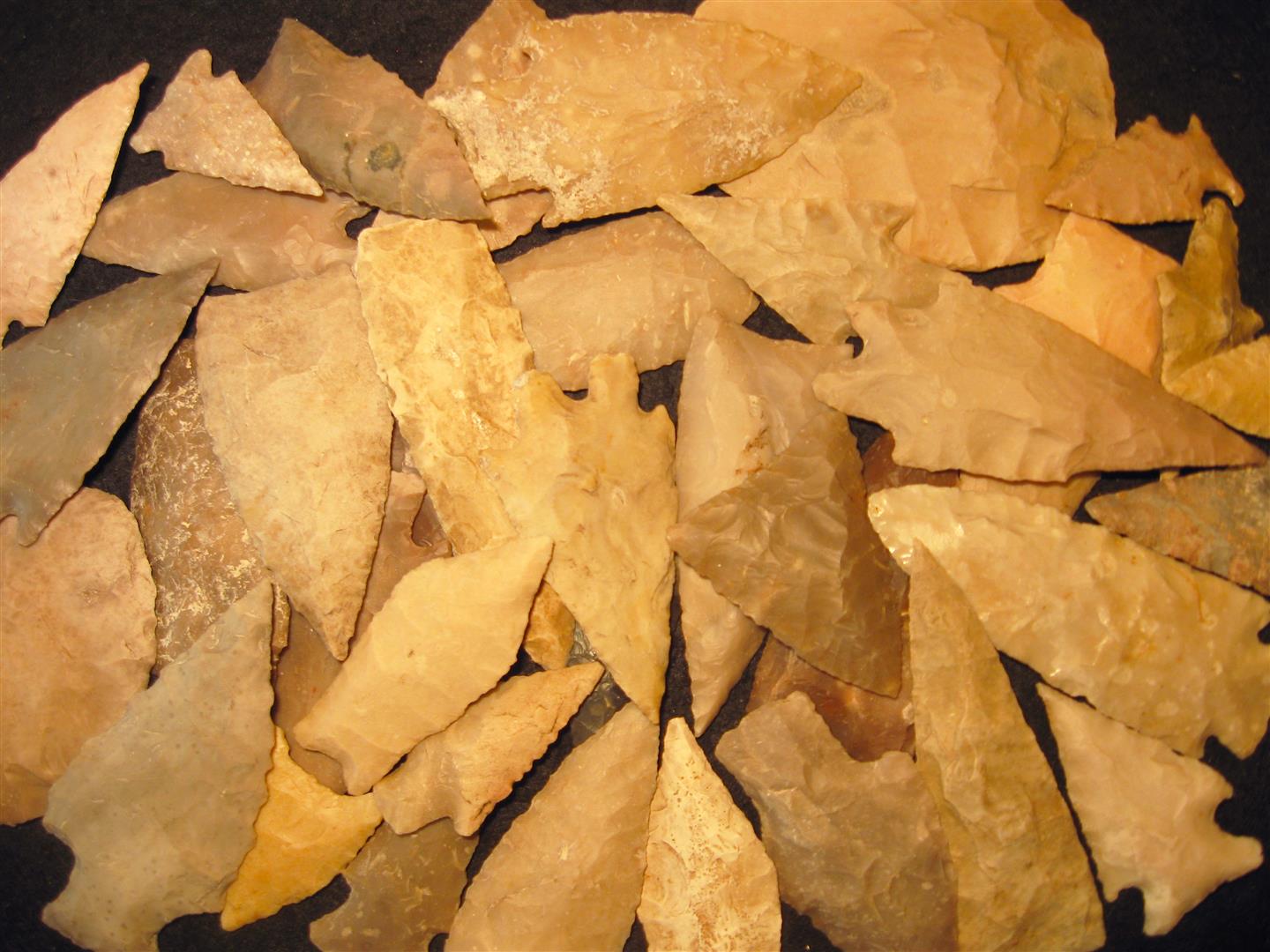 Arrowheads Natural Selections arrowheads-natural-selections